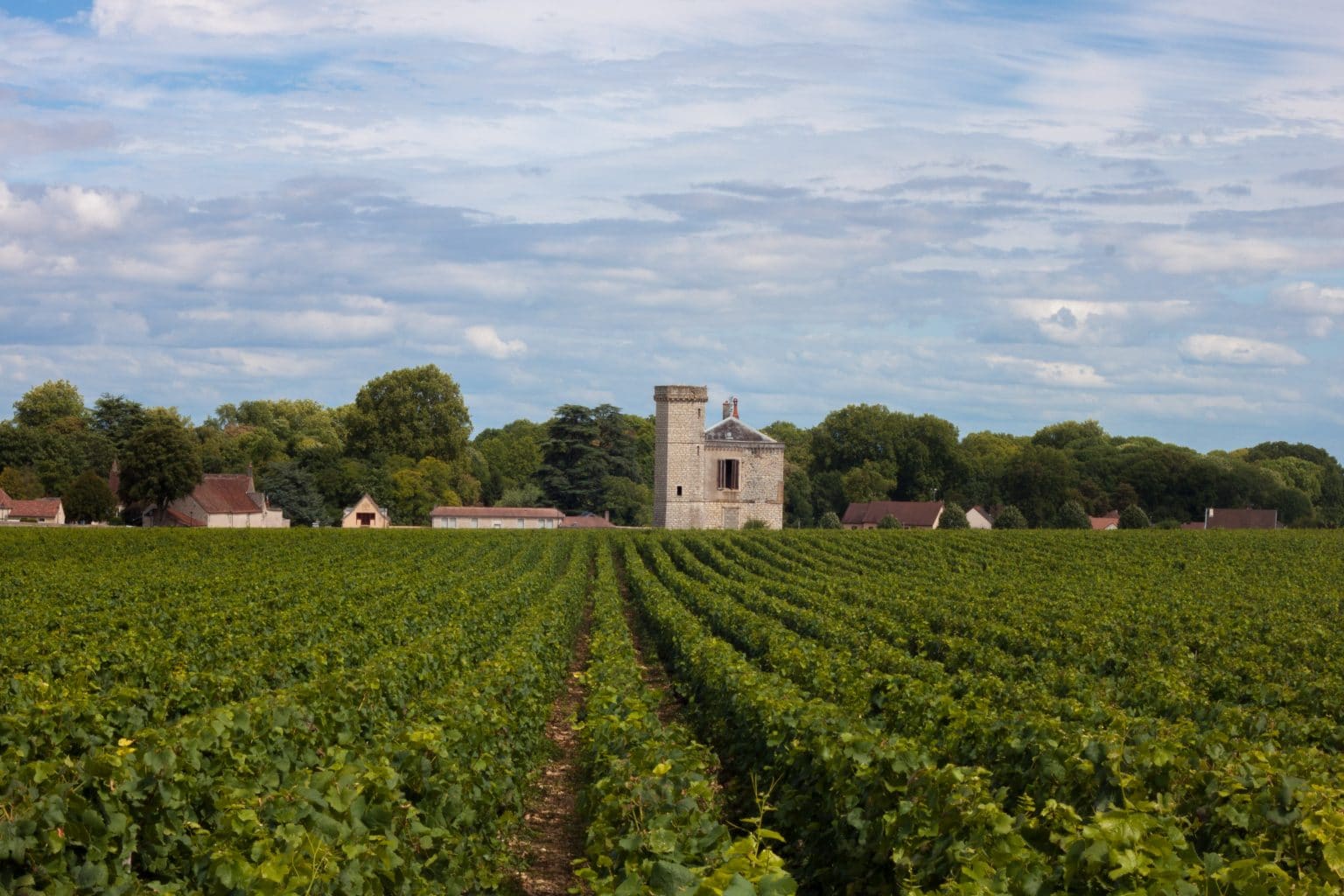 Bourgogne : que faire ? - Bounce Mag